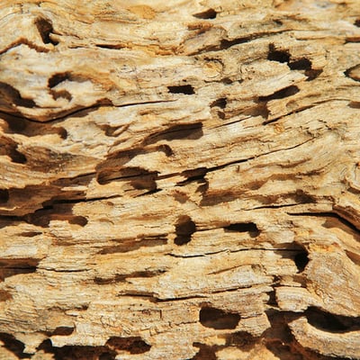 ABC HOME & COMMERCIAL SERVICES - Updated December 2025 - 44 Photos ...