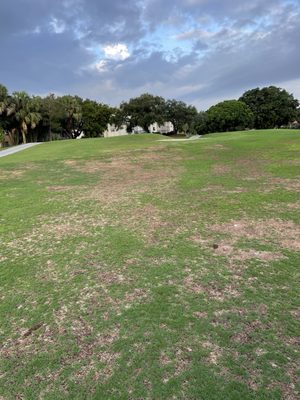 JACARANDA GOLF CLUB - 77 Photos & 73 Reviews - 9200 W Broward Blvd ...