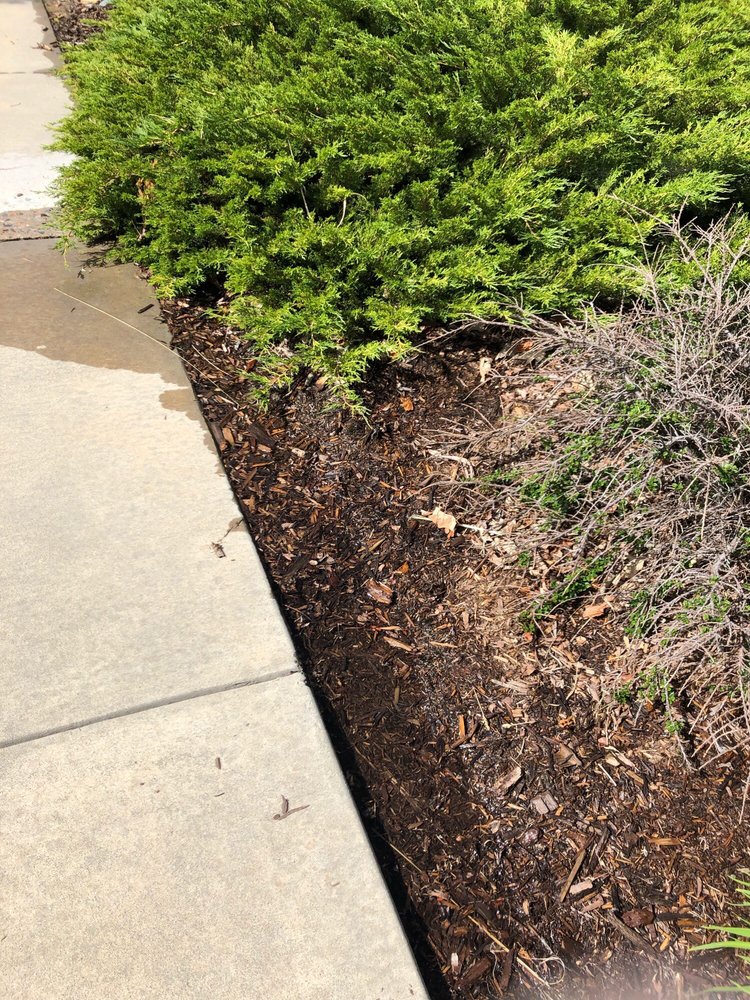 LIVING ROOTS LANDSCAPING - Updated September 2025 - Colorado Springs ...