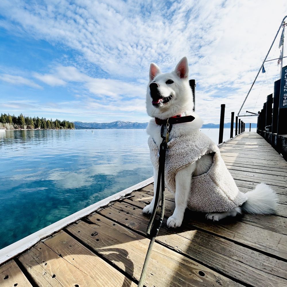 CARNELIAN WEST BEACH - Updated September 2025 - 17 Photos - 5074 N Lake ...