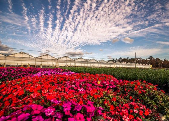 AMERICAN FARMS LLC - Updated December 2025 - 11 Photos - 2428 Orange ...