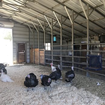 ANGELES CREST CREAMERY - Updated December 2025 - 54 Photos & 14 Reviews ...