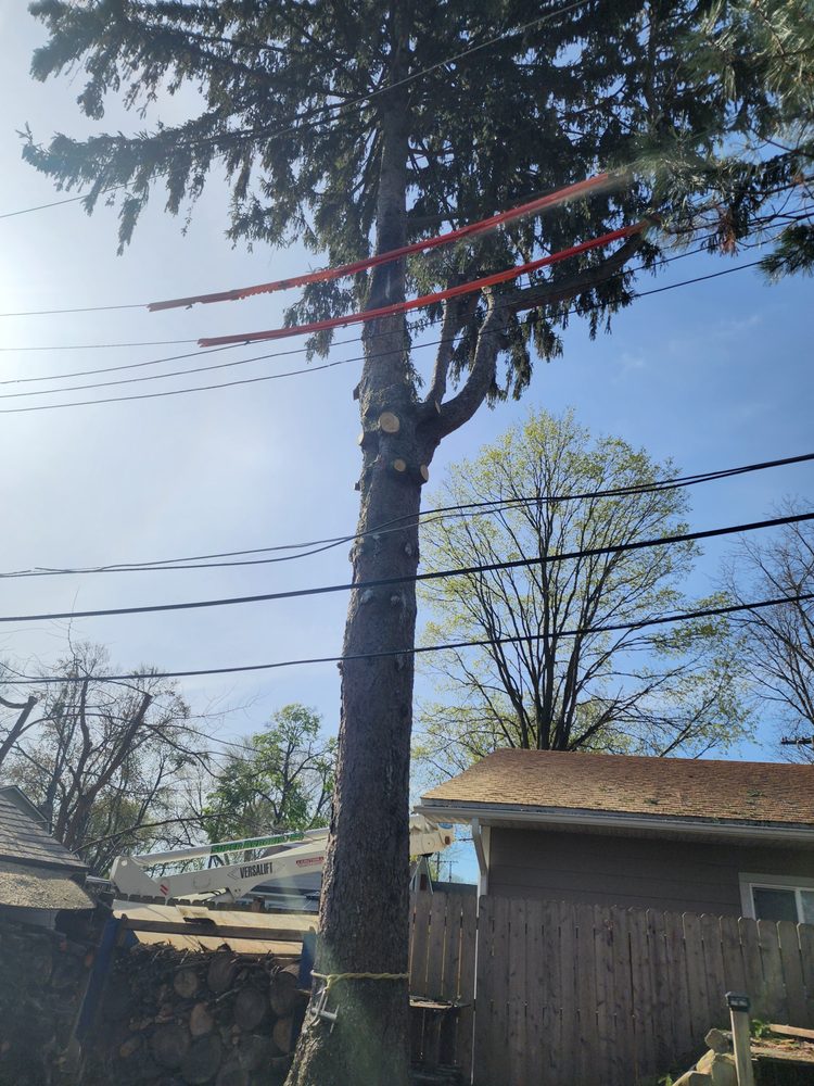 KAPPEN TREE SERVICE - Updated May 2026 - 13 Reviews - 2675 Hurds Corner ...
