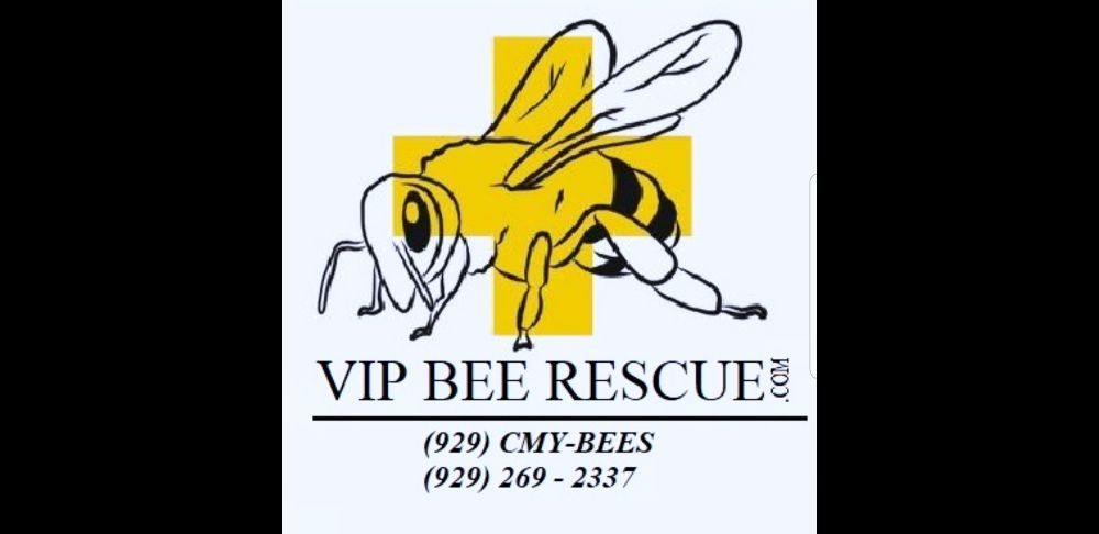VIP BEE RESCUE BEE REMOVAL - Request a Quote - Richardson, Texas - Pest ...