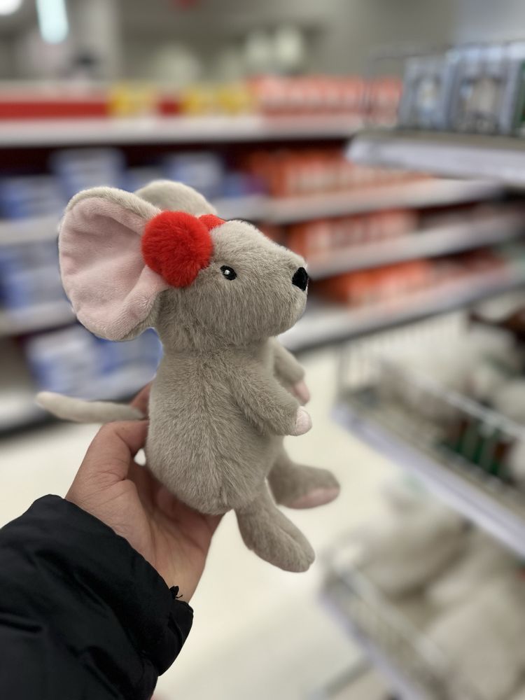TARGET - Updated April 2026 - 488 Photos & 319 Reviews - 13831 ...