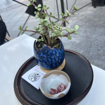 EOS & NYX - Updated August 2025 - 1938 Photos & 400 Reviews - 201 S ...