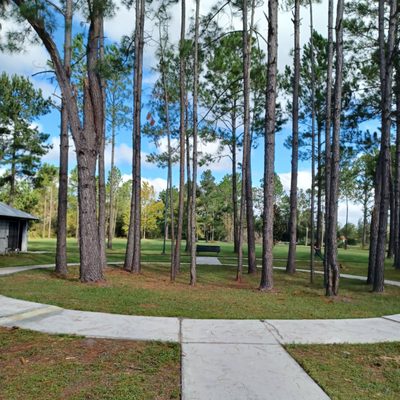 CUNNINGHAM PARK - Updated July 2025 - 31 Photos - AVON PARK, Florida ...