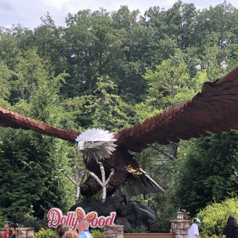 WILD EAGLE - Updated October 2025 - 29 Photos & 14 Reviews - 2700 ...