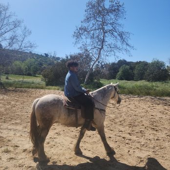 CIRCLE K RIDING STABLES - Updated December 2024 - 192 Photos & 276 ...