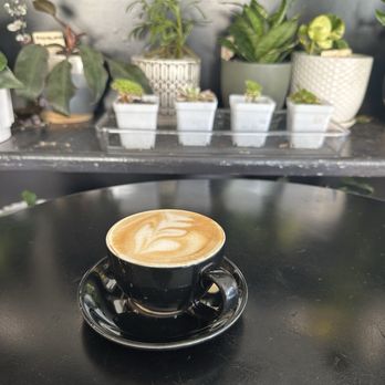 FIDDLE FIG CAFE & COFFEE - Updated December 2025 - 316 Photos & 260 ...