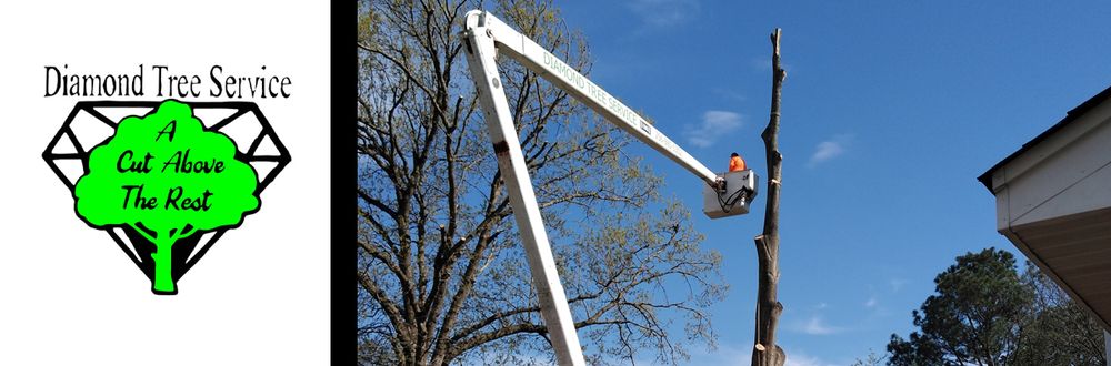 DIAMOND TREE SERVICE - Updated December 2025 - 19 Photos - Decatur ...