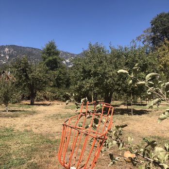 Riley’s Apple Farm - 263 Photos & 150 Reviews - Pick Your Own Farms ...