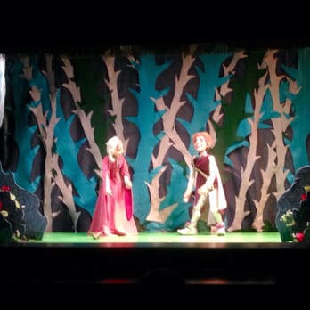 PUPPETWORKS - Updated January 2026 - 35 Photos & 35 Reviews - 338 6th ...