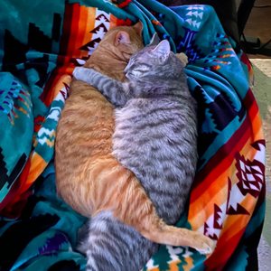 TESKE PET & GARDEN CENTER - Updated June 2025 - 18 Reviews - 2423 16th ...