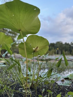 BURROUGHS PARK - Updated March 2026 - 88 Photos & 65 Reviews - 9738 ...
