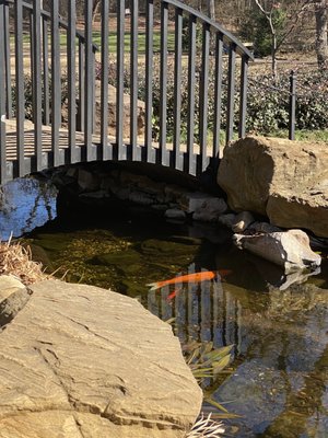 GRAPEVINE BOTANICAL GARDENS - Updated December 2025 - 295 Photos & 66 ...