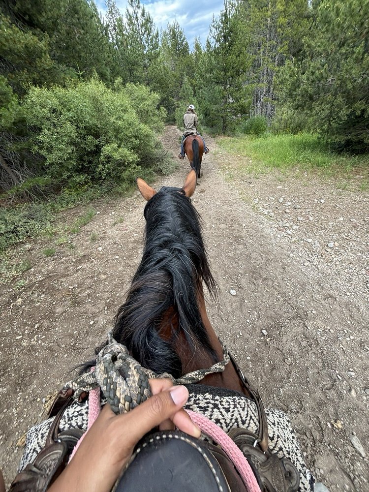 ALPINE MEADOWS STABLES - Updated December 2025 - 96 Photos & 133 ...