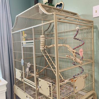 MAGNOLIA BIRD FARM - Updated December 2024 - 142 Photos & 185 Reviews ...