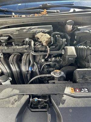 RICHMOND MOTOR SALES AND RENTAL - Updated October 2025 - 27 Reviews ...