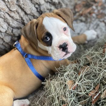 TOP 10 BEST Dirt Bike Trails in Groveland, FL - Updated 2025 - Yelp