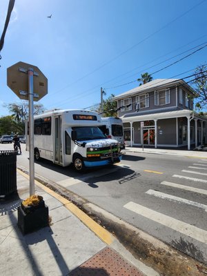 DUVAL LOOP - Updated December 2025 - 32 Photos & 28 Reviews - Key West ...