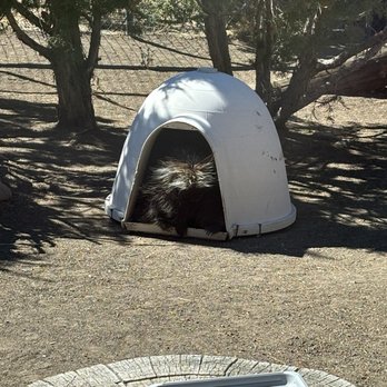 ANIMAL ARK - Updated October 2025 - 514 Photos & 161 Reviews - 1265 ...