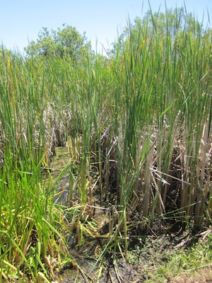 AUDUBON CANYON RANCH - Updated December 2025 - 19 Photos - 4900 ...