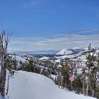 MT ROSE SKI TAHOE - Updated December 2024 - 1064 Photos & 436 Reviews ...