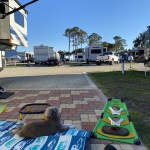 PANAMA CITY BEACH RV RESORT - 16 Photos & 10 Reviews - RV Parks - 4702 ...