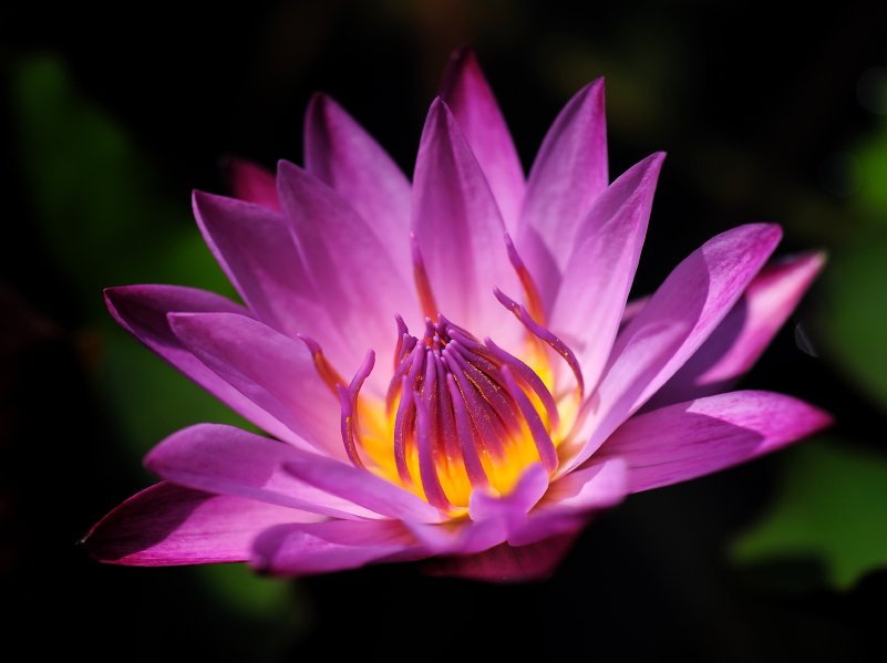 ESTHER TING, PHD LAC - Updated December 2025 - 12 Reviews - 2448 ...