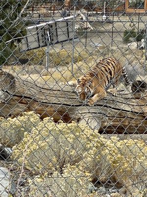 ANIMAL ARK - Updated December 2025 - 522 Photos & 163 Reviews - 1265 ...