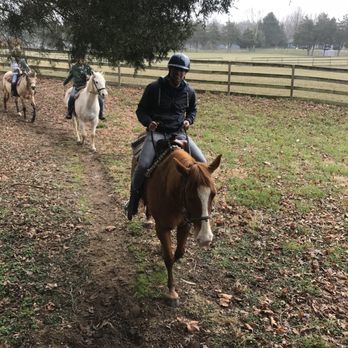 ROYAL HORSESHOE FARM - Updated March 2025 - 51 Photos & 37 Reviews ...