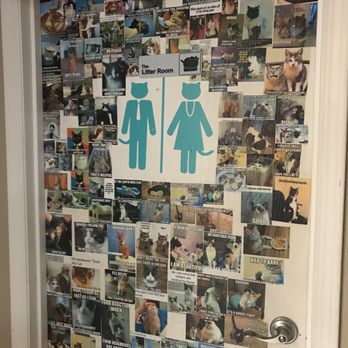 MOCHAS AND MEOWS - Updated July 2024 - 119 Photos & 67 Reviews - 3265 ...