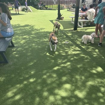 SKIPTOWN - Updated December 2025 - 201 Photos & 115 Reviews - 222 ...