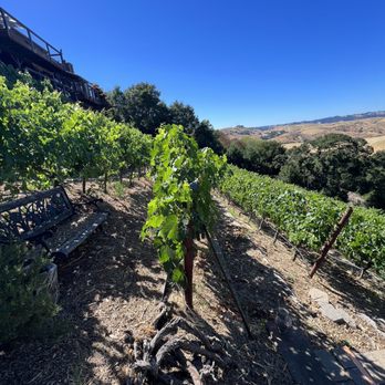 CAPTAIN VINEYARDS - Updated October 2025 - 125 Photos & 87 Reviews ...