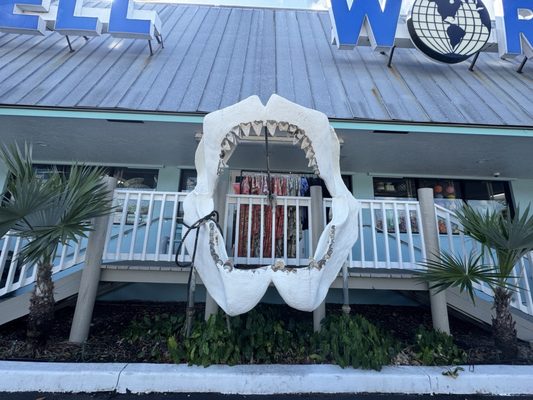 SHELL WORLD - Updated September 2025 - 199 Photos & 111 Reviews - 97600 ...