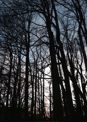 RUSSELL MEMORIAL LIBRARY - Updated October 2025 - 40 Photos - 2808 ...