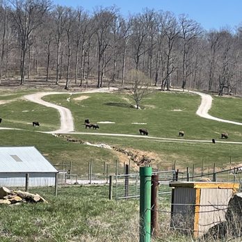 WILSTEM - Updated December 2025 - 354 Photos & 89 Reviews - 4229 W US ...