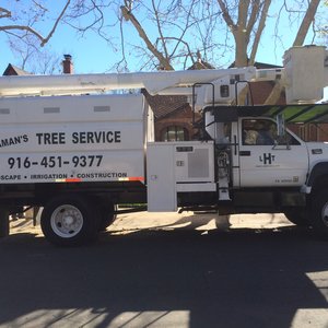 HARDIN’S TREE SERVICE - 29 Photos & 50 Reviews - Tree Services - 5716 ...