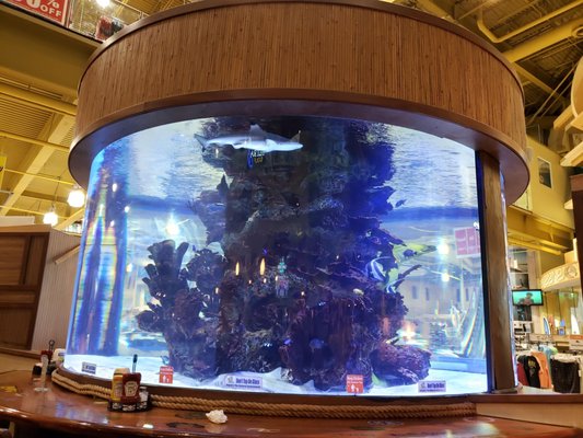 SHARK PIT BAR & GRILL - 141 Photos & 191 Reviews - American (New ...