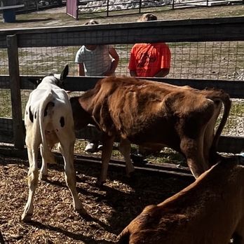 GOOD MOOD RANCH - Updated December 2025 - 148 Photos & 18 Reviews - 306 ...