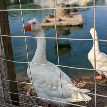 MCCRAY’S FARM AND COUNTRY CREAMERY - Updated December 2025 - 46 Photos ...