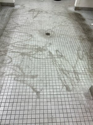 IN-SHAPE FITNESS - Updated August 2025 - 14 Photos & 82 Reviews - 2951 ...