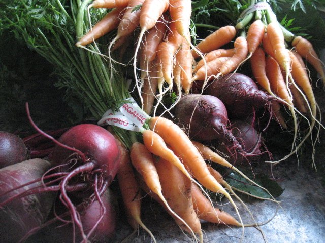 HUNGRY TOAD FARM - Updated November 2025 - 11 Photos - 9307 Rooks Rd ...