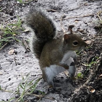 SAMUEL J. FERRERI COMMUNITY PARK - Updated August 2025 - 70 Photos ...