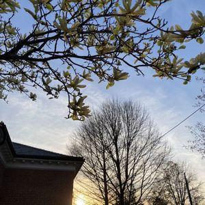 ARLINGTON PUBLIC LIBRARY - ARLINGTON - Updated November 2025 - 37 ...