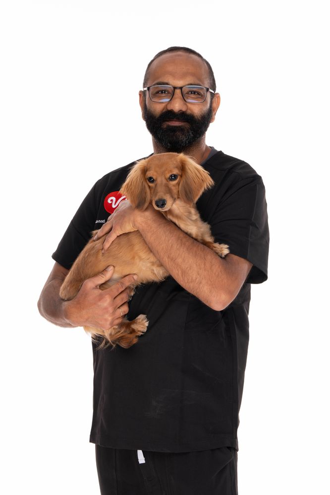 PETSMART VETERINARY SERVICES - Updated May 2026 - 3420 Marron ...