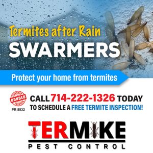 THE TERMITE GUY - Updated September 2025 - 80 Photos & 507 Reviews ...