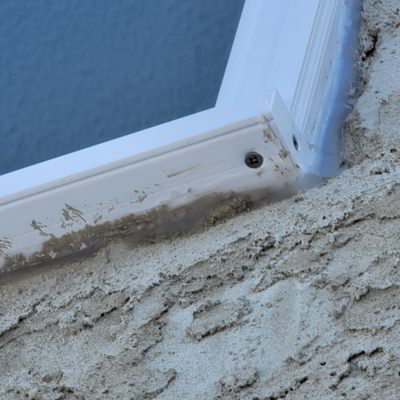 GREENFOX WINDOWS & DOORS - Updated May 2026 - 30 Photos & 18 Reviews ...