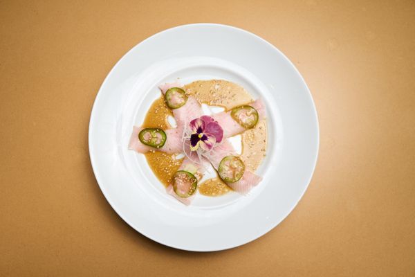 BLUE FIN GRILL & SUSHI - Updated December 2025 - 176 Photos & 306 ...